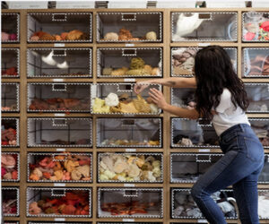 Why is Free People so Expensive? 11 Compelling Reasons Why!