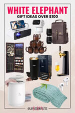 35 White Elephant Gift Ideas Over $100 Guaranteed To Get Smiles!